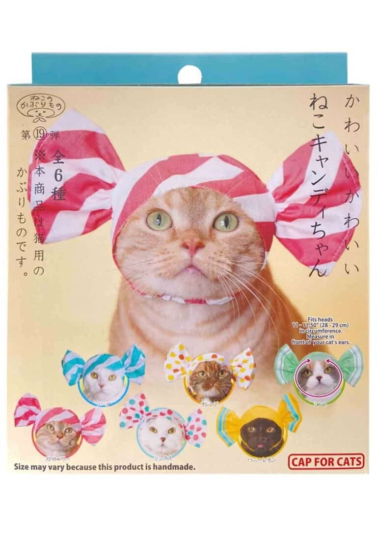 Cat Blind Boxes | Sweet Pete's Candy